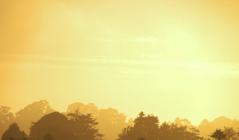 Buff Color: Tracking Down Its History and Symbolism | HipFonts